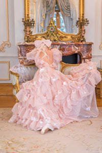 Ballet Slipper Odette Gown